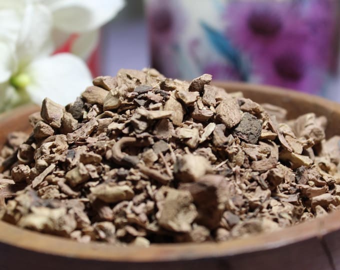 Red Root - Dried Herb Wild Harvested in the Appalachian Mountains - Etsy