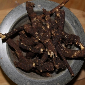 Osha Root - Wild Harvested Fresh Organic Herbs - Etsy