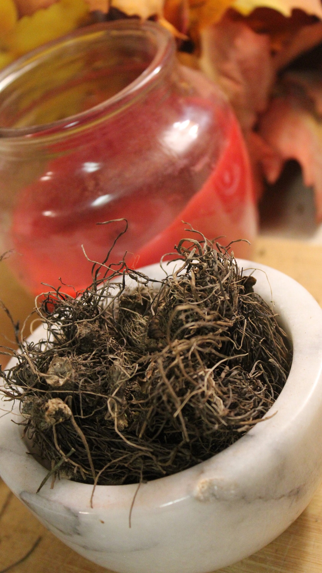 Plantain Root - 2025 Wild Harvest From the Appalachian Mountains - Etsy