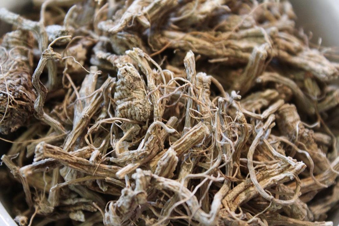 Teasel Root - Wild Herbs From the Appalachian Mountains - Etsy