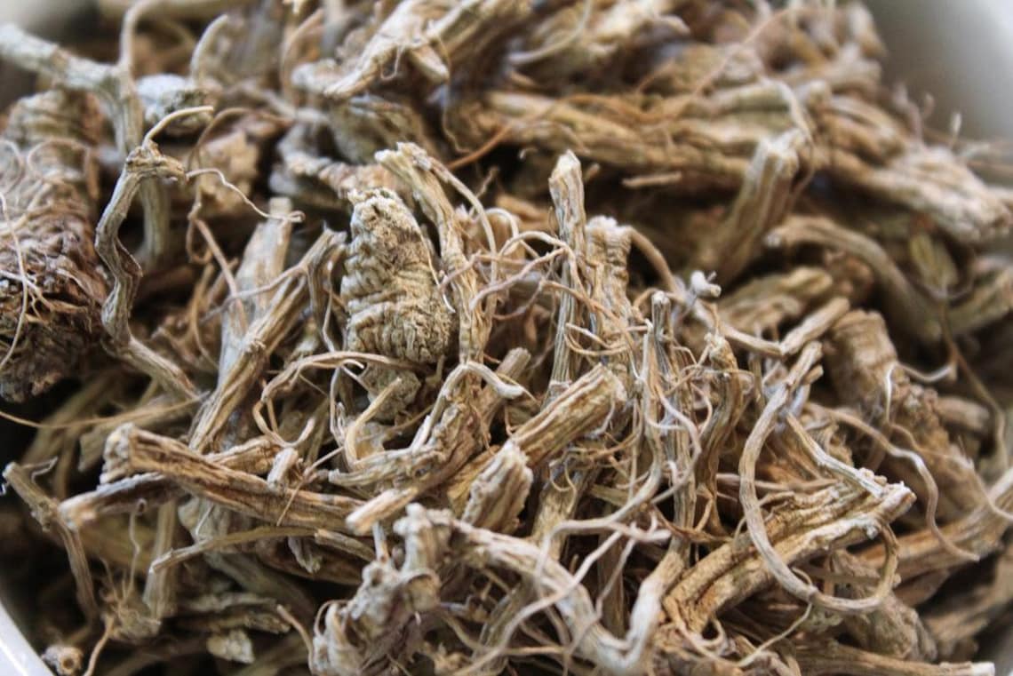 Teasel Root Wild Herbs from the Appalachian Mountains | Etsy