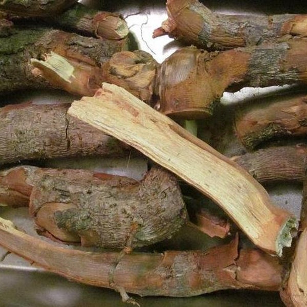 Sassafras Root Bark - Etsy