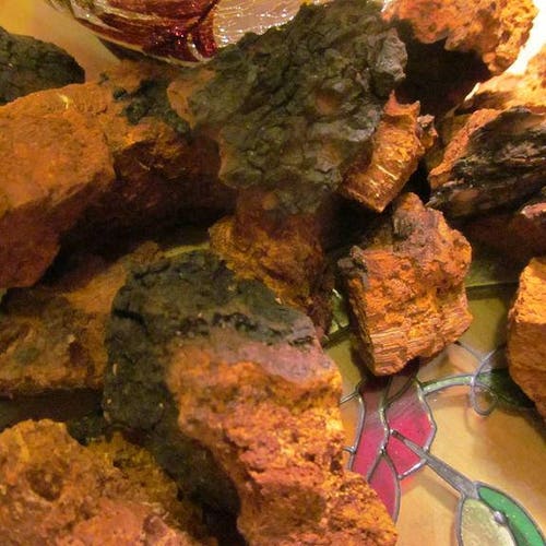 Chaga Mushroom Chunks 1lb Wild-foraged Naturally Dried Maine - Etsy