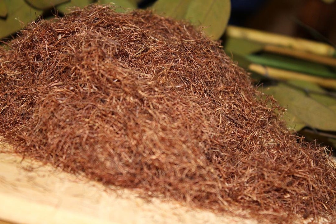 Cornsilk - All Natural, Non GMO - Etsy