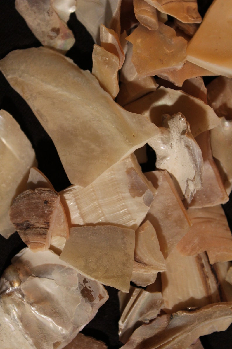 Mother of Pearl - Raw Nacre - Etsy