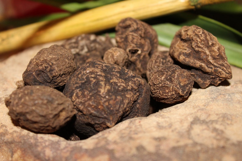 High John the Conqueror Root - Etsy