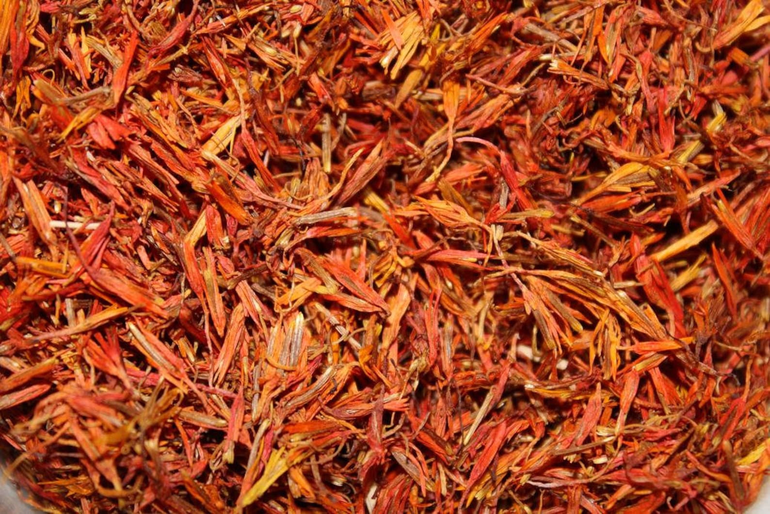 Safflower Seeds - Grow Your Own Herbs, Non GMO, Pesticide Free - Etsy