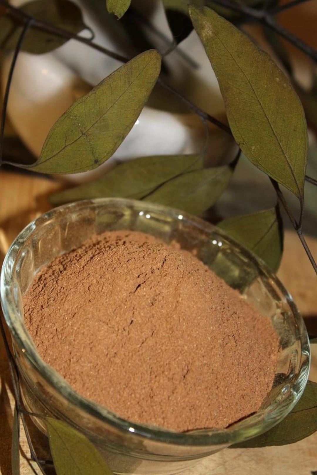 Bayberry Root Bark Powder - Etsy
