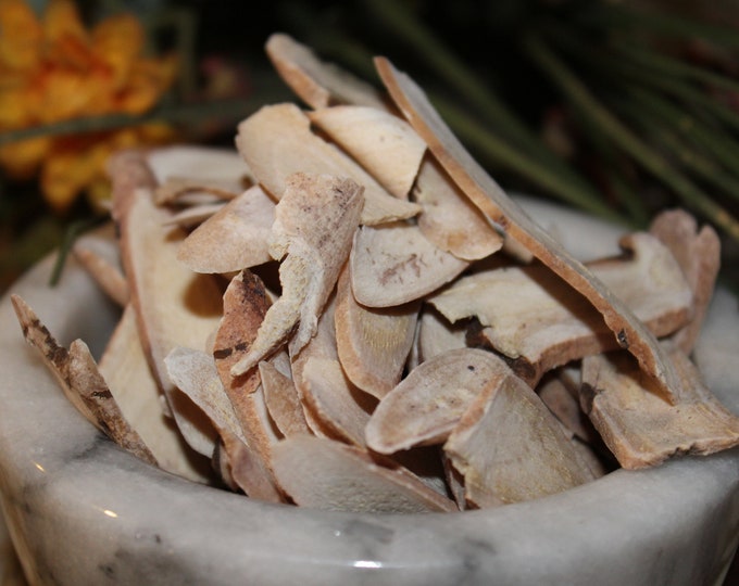 Peony Root - Etsy