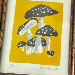 Mid Century Mushroom Print 1960s Signed Numbered Art - Etsy