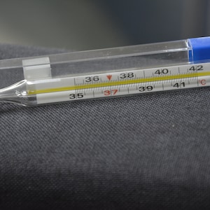 Vintage Thermometer - Etsy