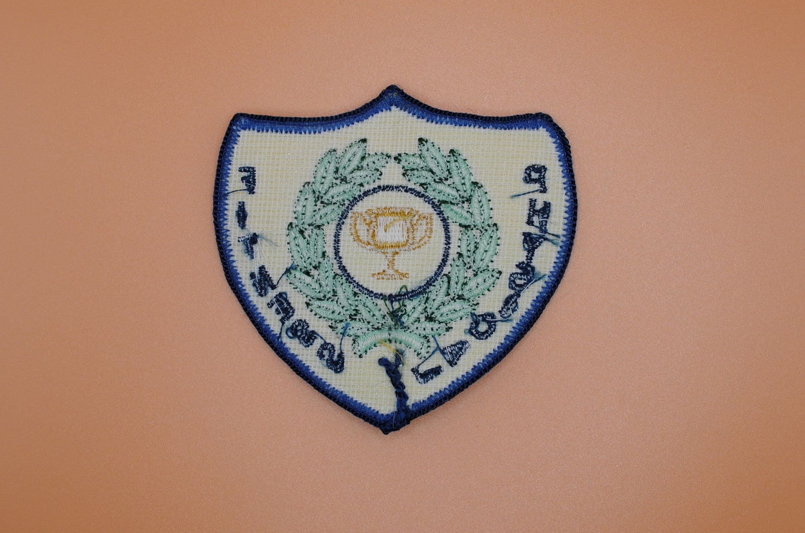 Physical Fitness Award Trophy Badge Vintage Scout Patch - Etsy