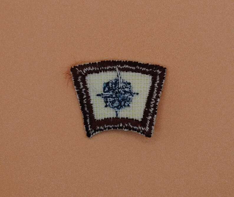 Micro Mini Compass Orienteering Nature Scout Patch - Etsy