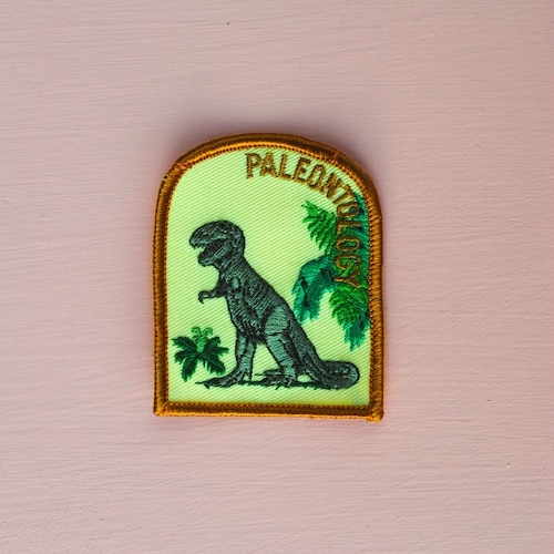 T-rex Skull Patch Embroidery Dinosaur Patches Iron On - Etsy