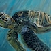 Sea Turtle Original Acrylic Painting - Etsy