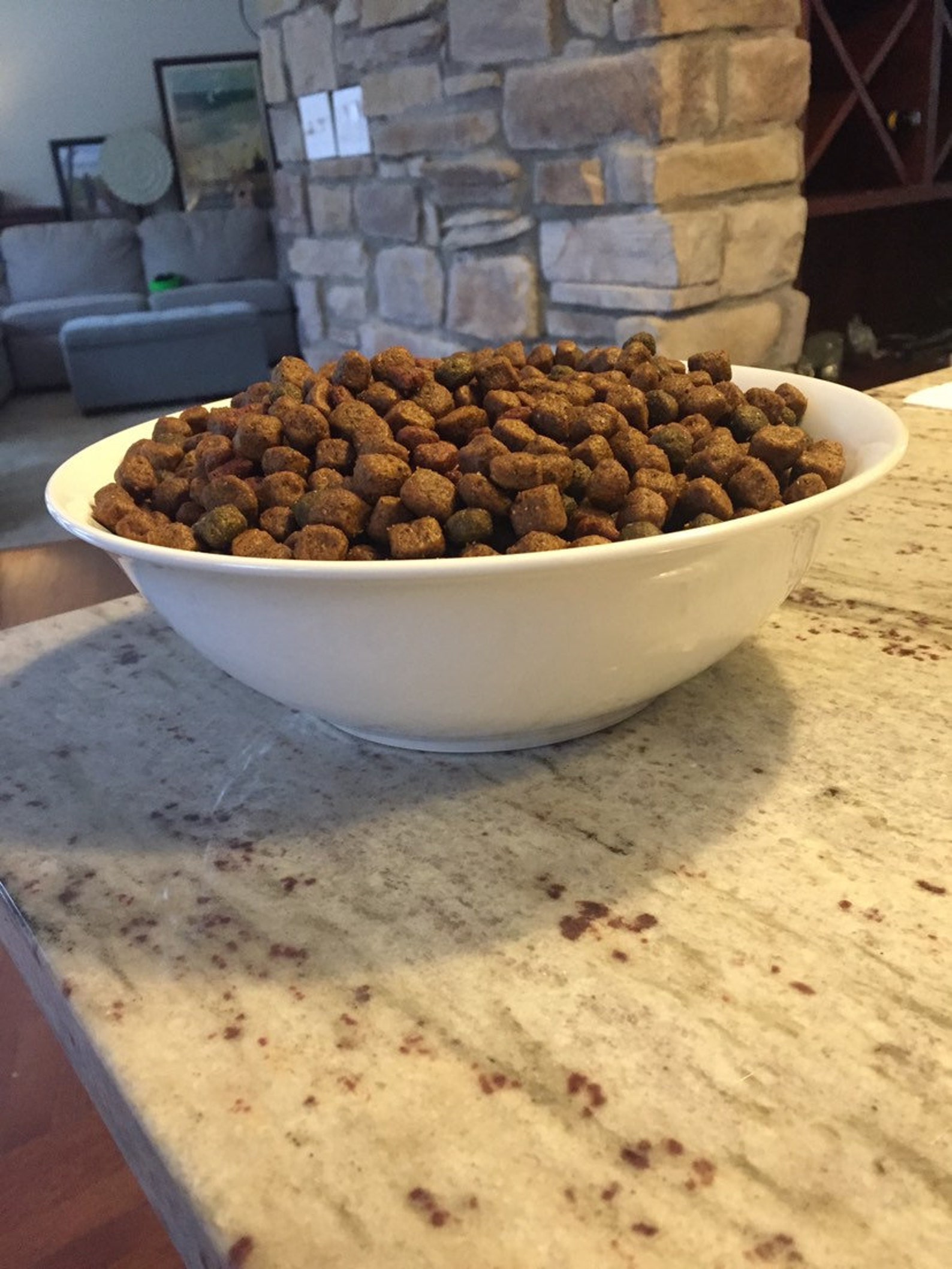 Dog Bowl Dog Bowl Stand Raised Dog Bowl Feeder Farm Table | Etsy