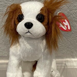 Ty Beanie Babies - Dogs - Frolic, Regal, Sis, Laptop, Pal, Darling ...