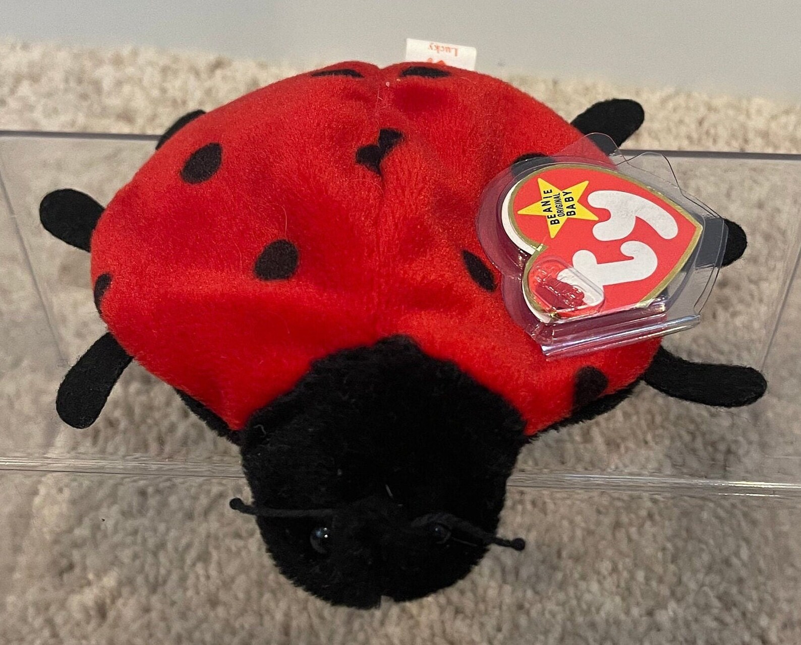 Ty Beanie Babies-bugs/insects-ladybug, Bee, Cicada, Beetle, Butterfly ...