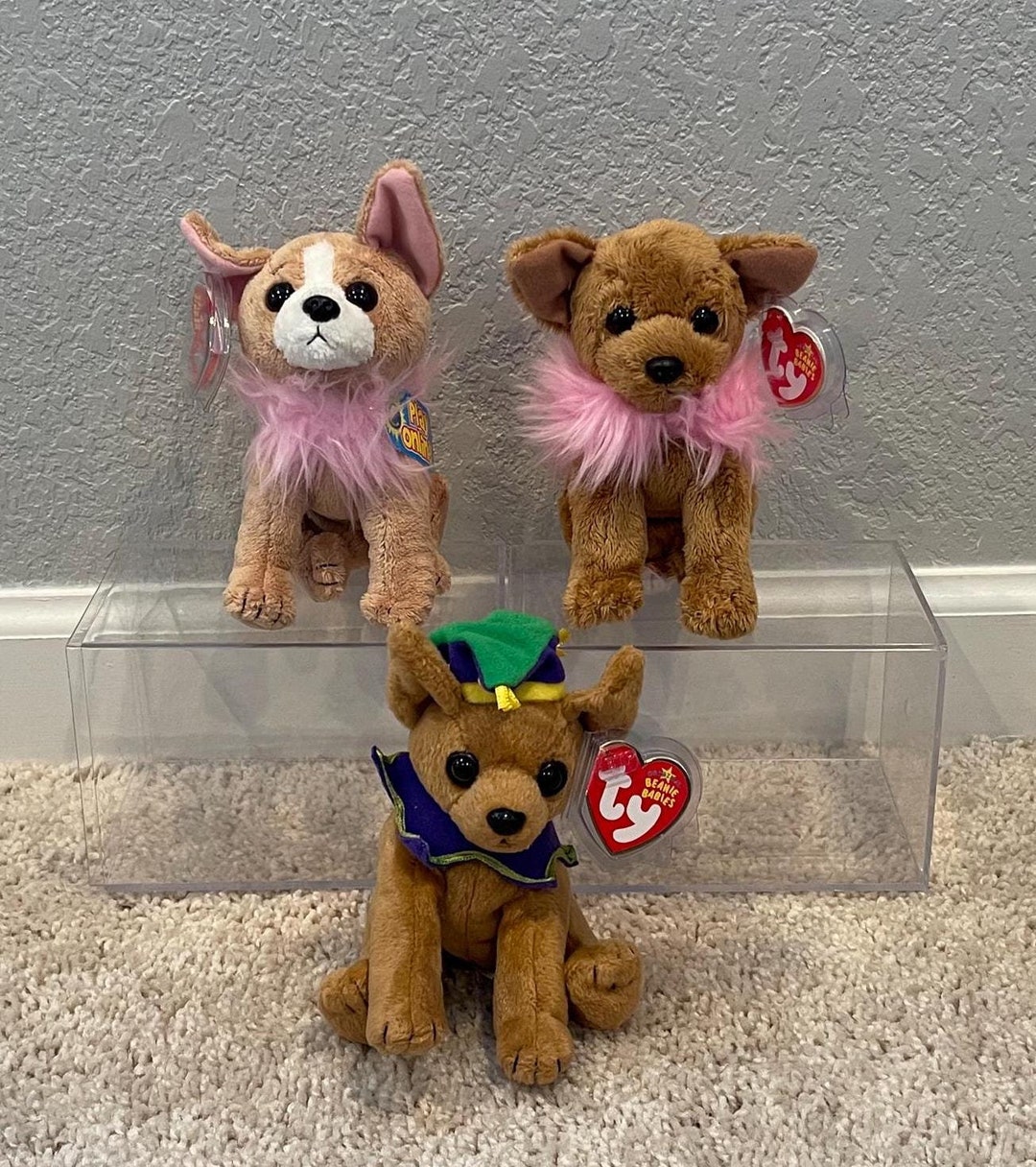 Ty Beanie Babies Chihuahuas dogs Pico, Divalectable, Punchline your ...