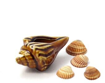 Shell ashtray | Etsy