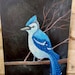 Blue Jay - Acrylic Painting - Hand-painted One-of-a-kind Wall Decor - Etsy