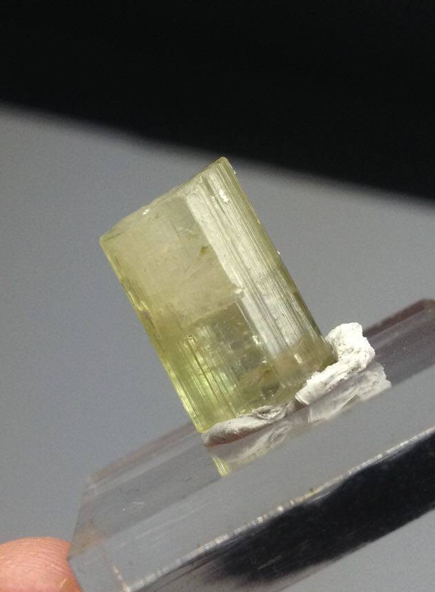 Gemmy Watermelon Tourmaline Crystal Greenish Neon Yellow Rind w/ Pink ...