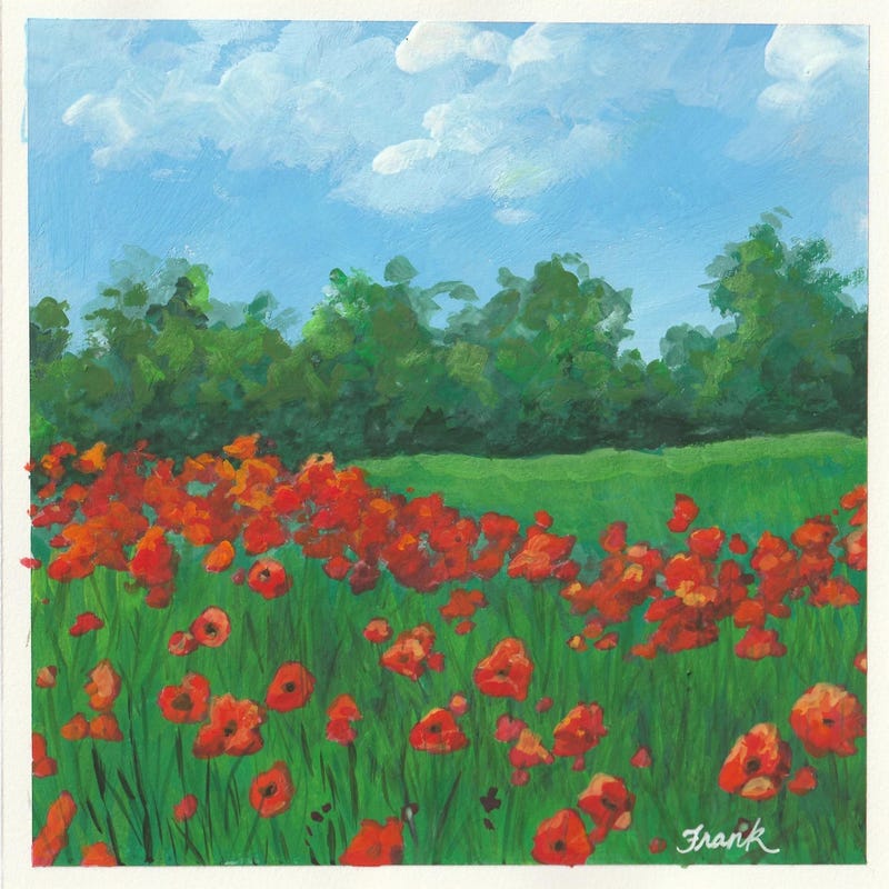 Flanders Poppy - Etsy