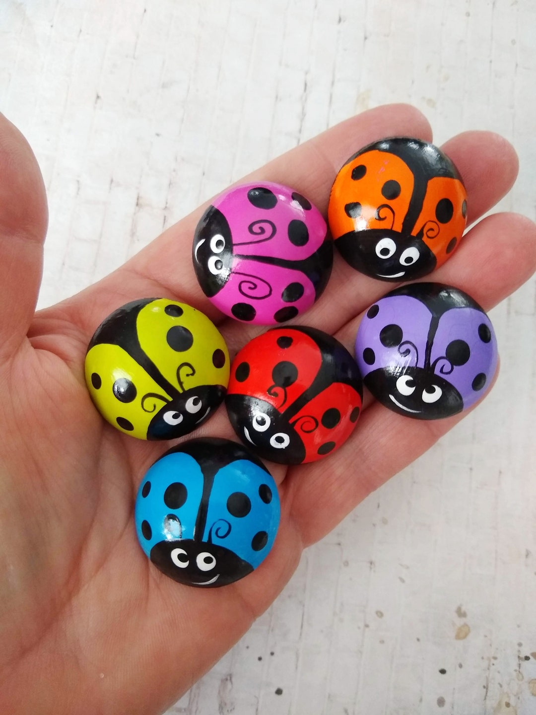 Set of 6 Hand Painted Rainbow Colored Ladybugs, Painted Rocks Garden ...
