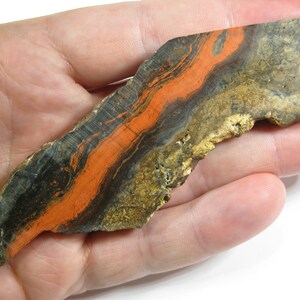 VERY RARE Myrickite (agatized & Opalized Cinnabar) Slab Specimen ...