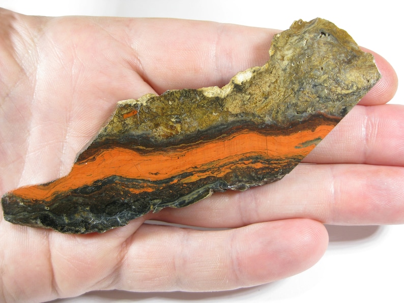 VERY RARE Myrickite agatized & Opalized Cinnabar Slab - Etsy