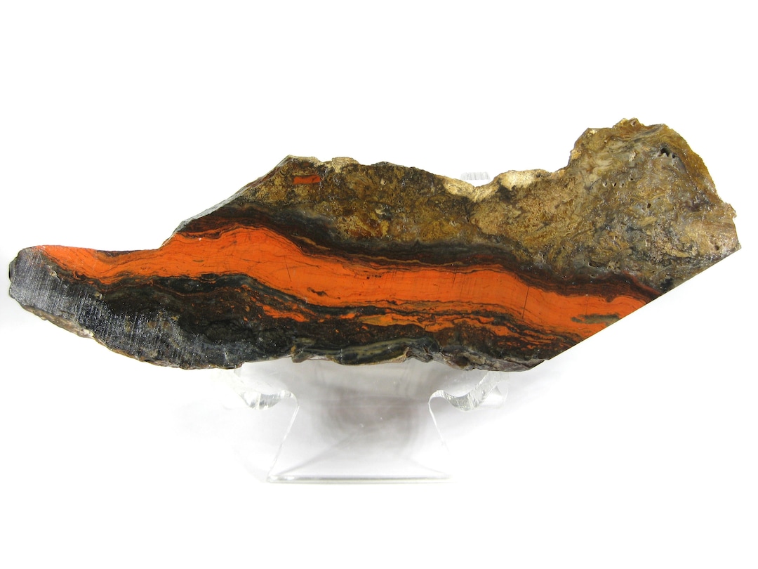 VERY RARE Myrickite (agatized & Opalized Cinnabar) Slab Specimen ...