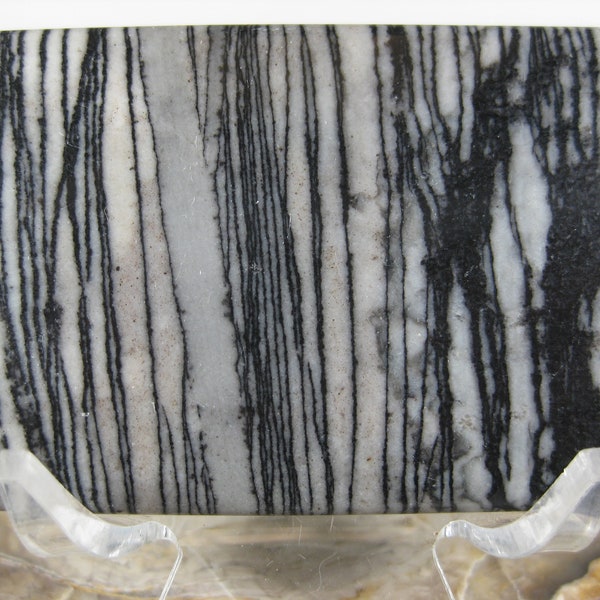 Zebra Marble - Etsy