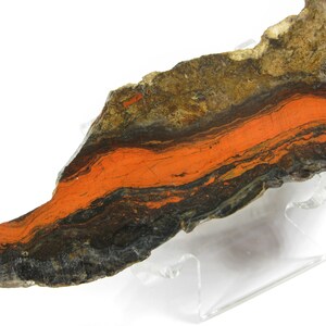 VERY RARE Myrickite (agatized & Opalized Cinnabar) Slab Specimen ...
