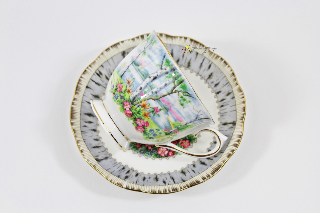 Royal Albert Silver Birch Tree Scenic Forest Floral English Bone China ...