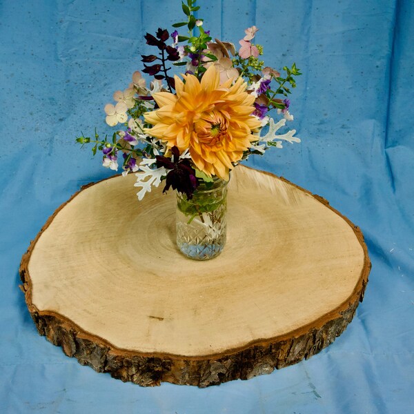 Log Slab - Etsy