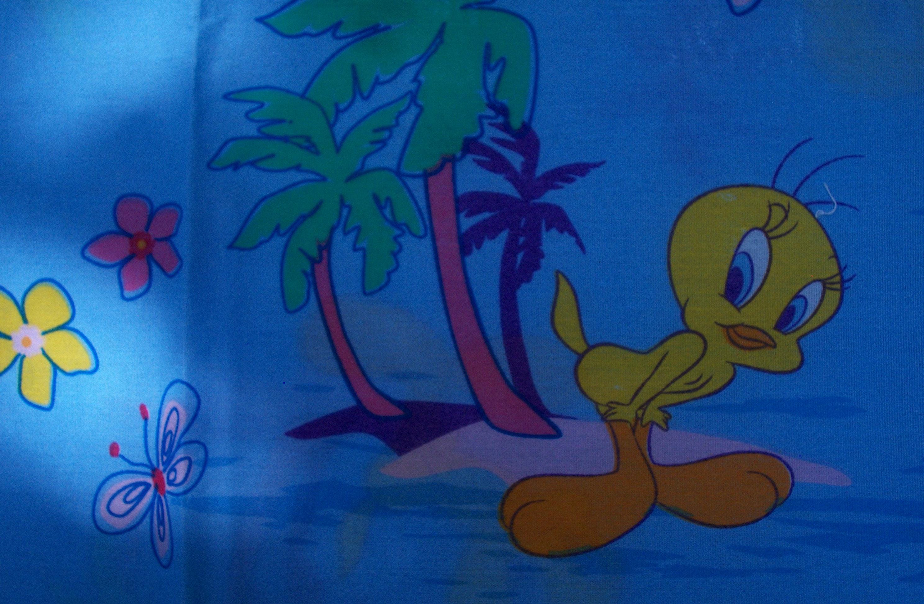 Tweety Bird Bed Sheet/twin Sheet - Etsy