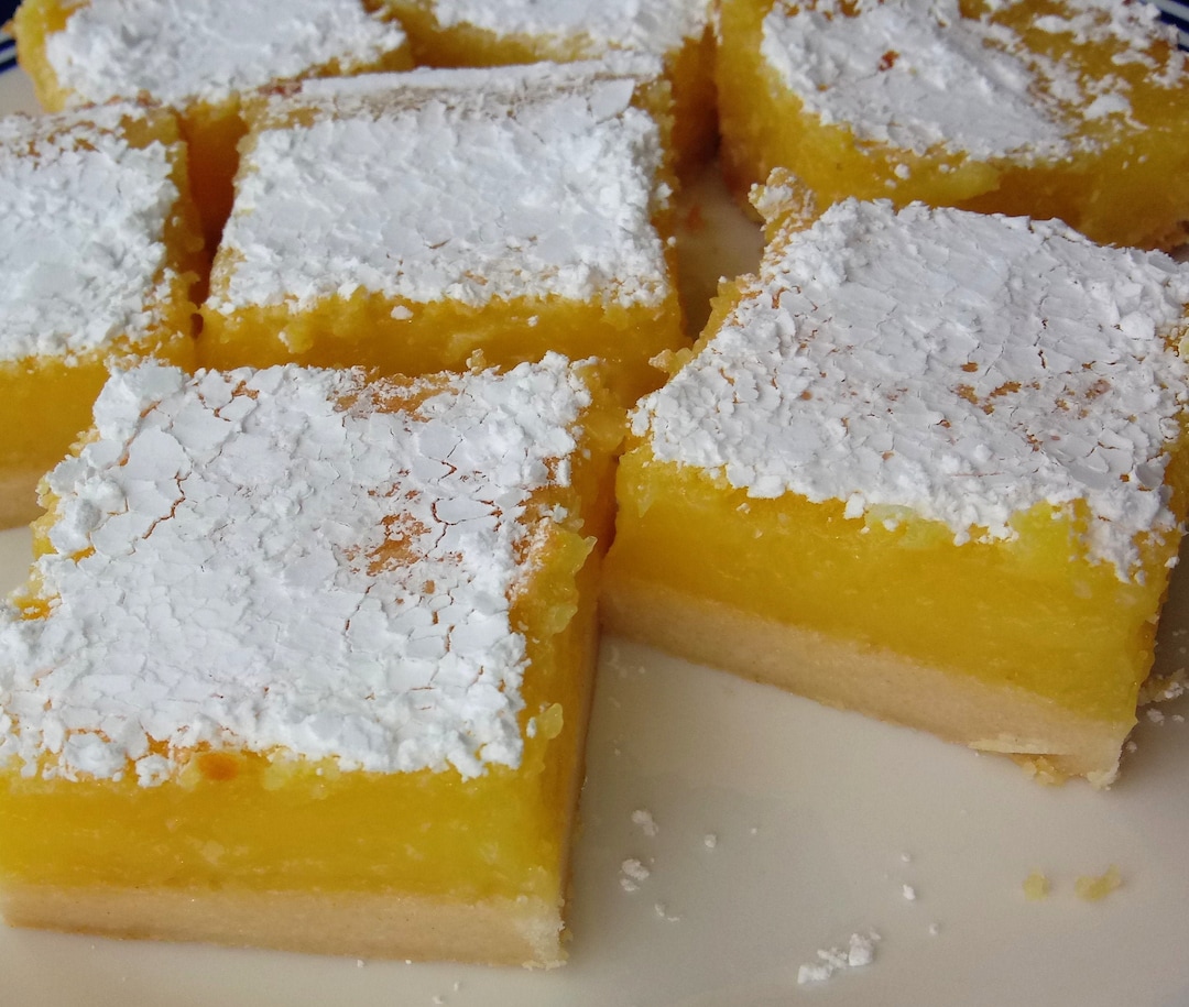 2 Pounds of Homemade Lemon Squares Topped With Powdered Sugar - Etsy