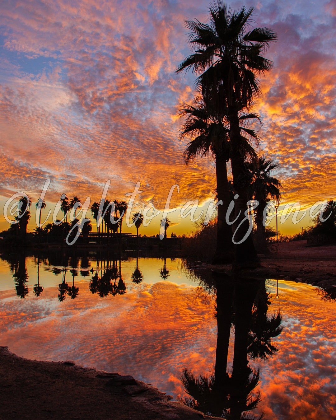 Phoenix Zoo Sunset Limited Edition Arizona Wall Art Digital Download ...