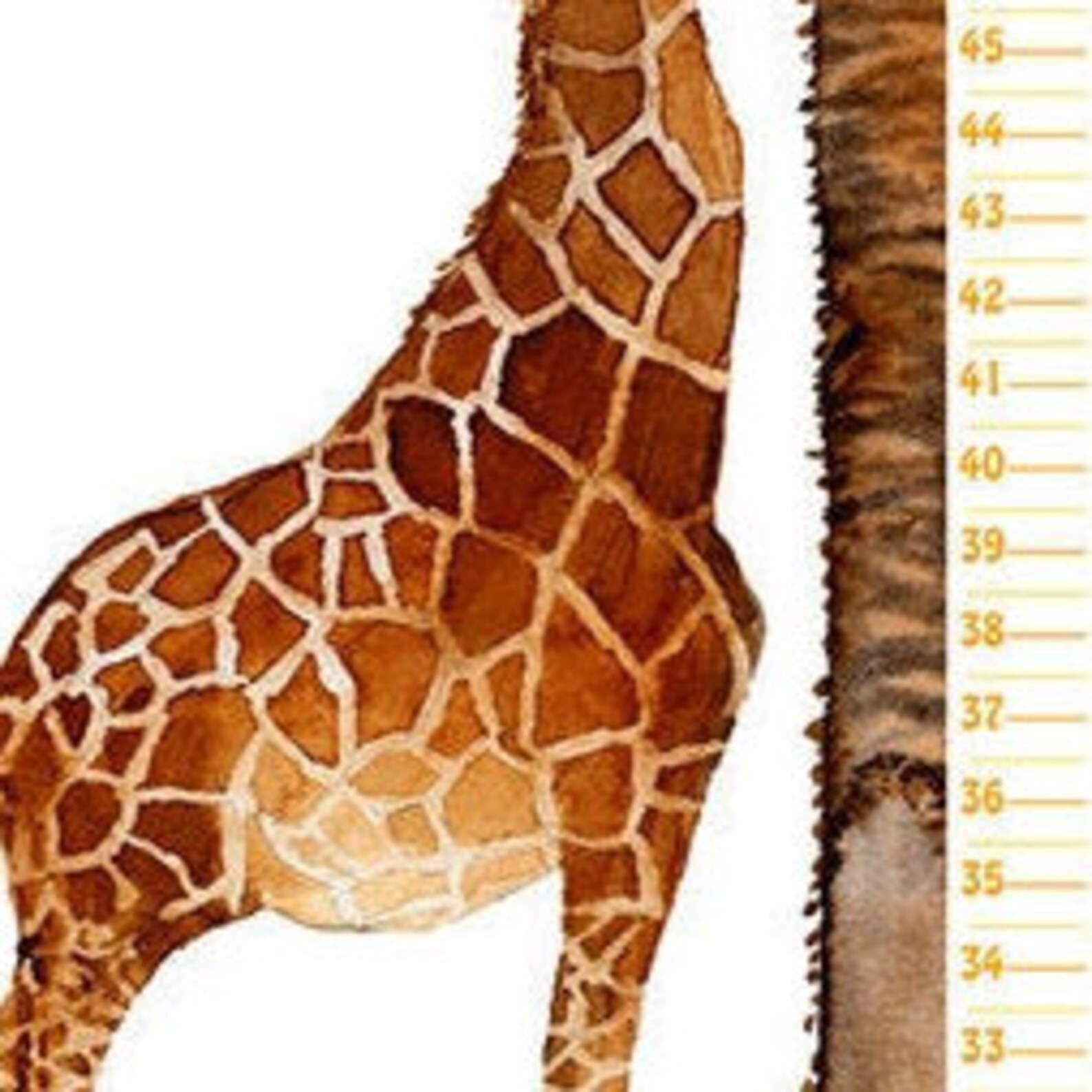 Giraffe Growth Chart - Etsy