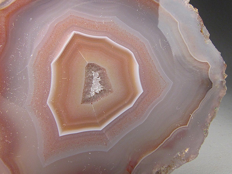 For Sale Laguna Agate, Mexico - Etsy