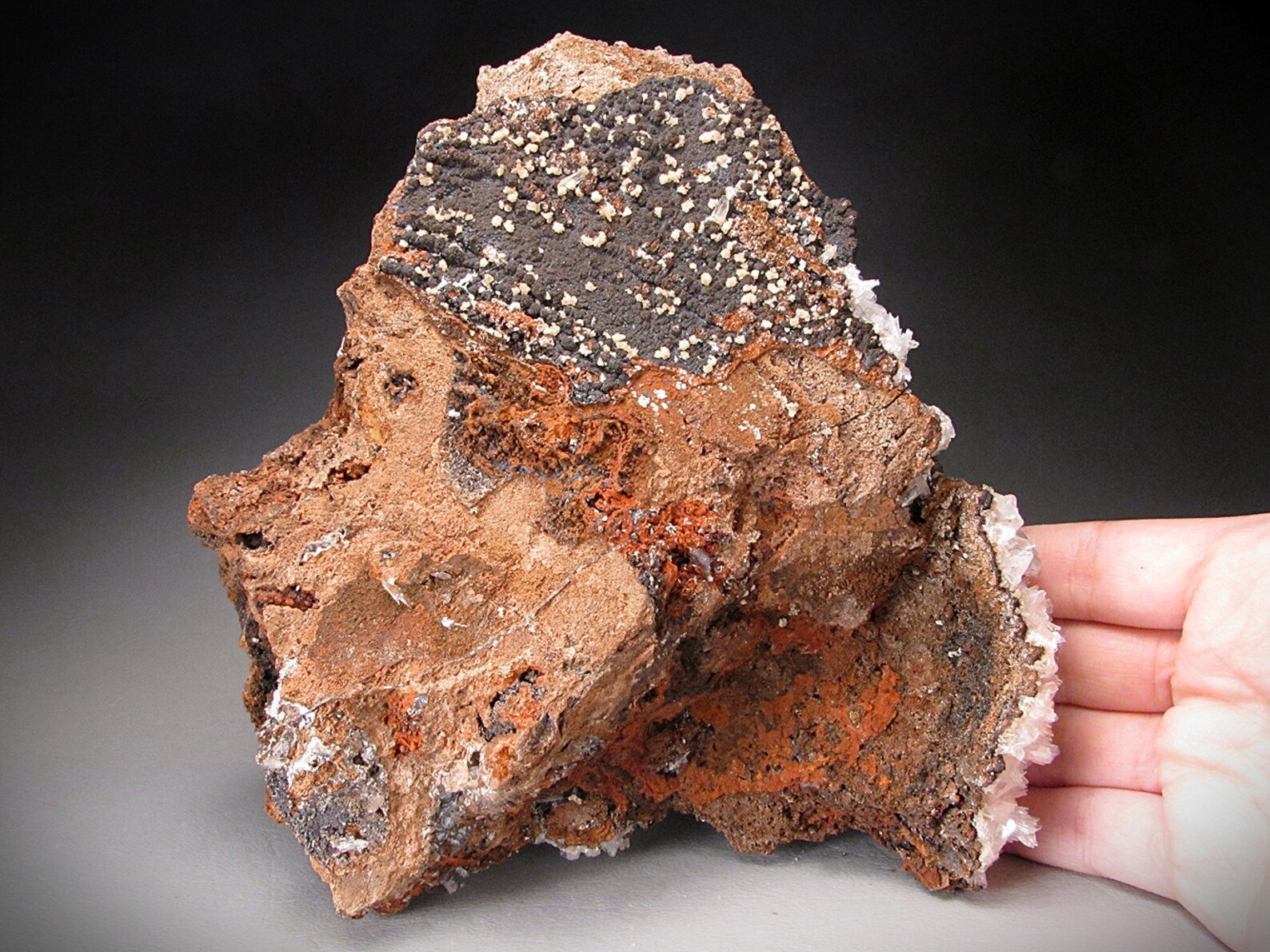 Hemimorphite Crystals Mapimi Mexico - Etsy