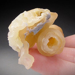 Agate "fossil Bamboo", Java, Indonesia - Etsy