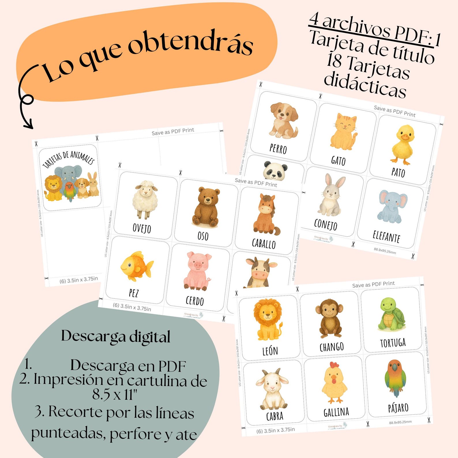 SPANISH Animal Flashcards | Tarjetas Didácticas De Animales Para ...