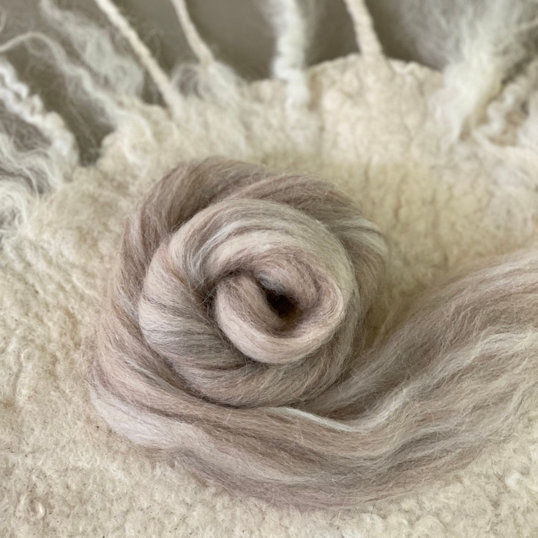 SEASIDE ROVING, Sand Dune ,organic Undyed Triple Suri Alpaca Roving ...