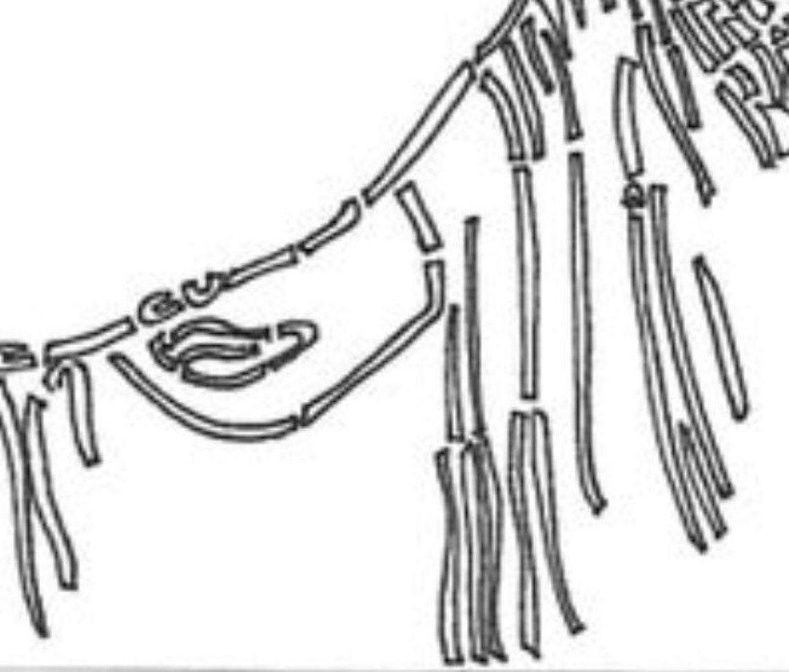 Fox Adult Coloring Page, Fox Racing, Fox Racing Coloring Page, Instant ...