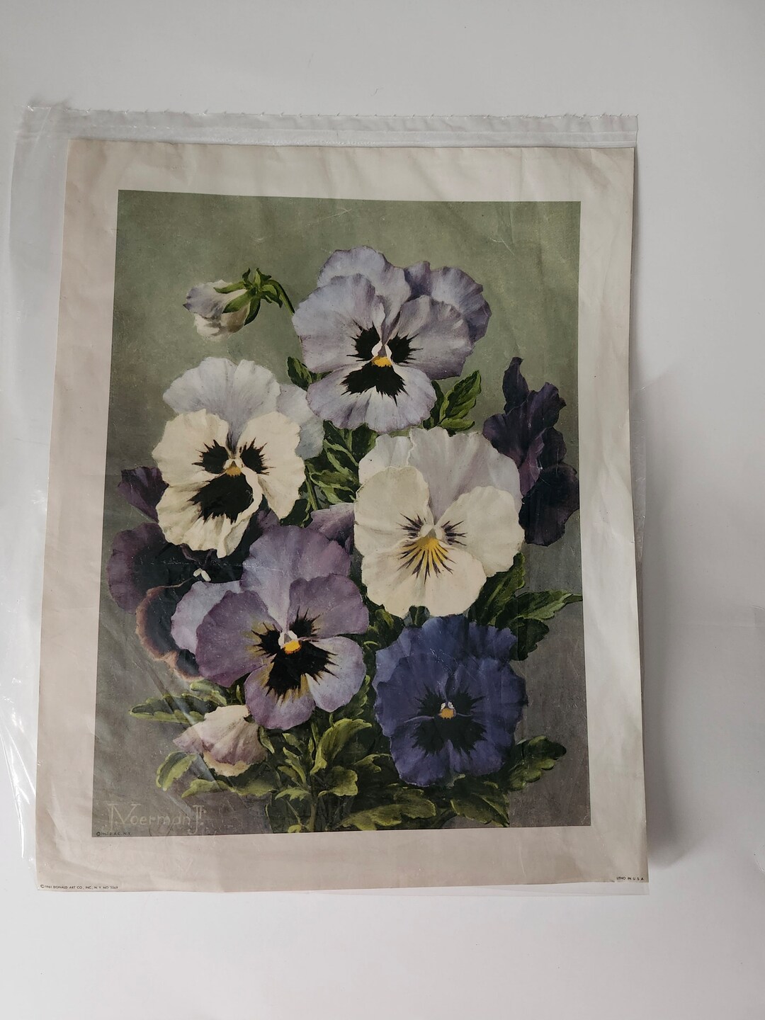 J. Voerman Jr.dutch Artist Purple Pansy Litho in USA 1961 - Etsy
