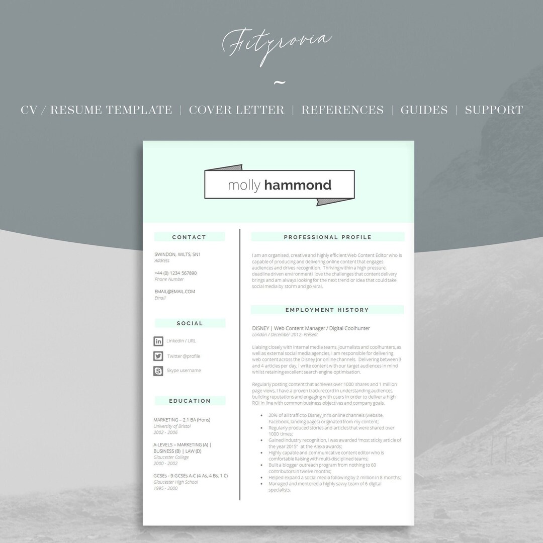 Mint Green Resume Template | Creative 2 Page CV Template | Stylish ...