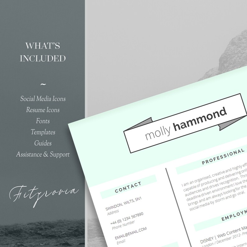Mint Green Resume Template Creative 2 Page CV Template | Etsy