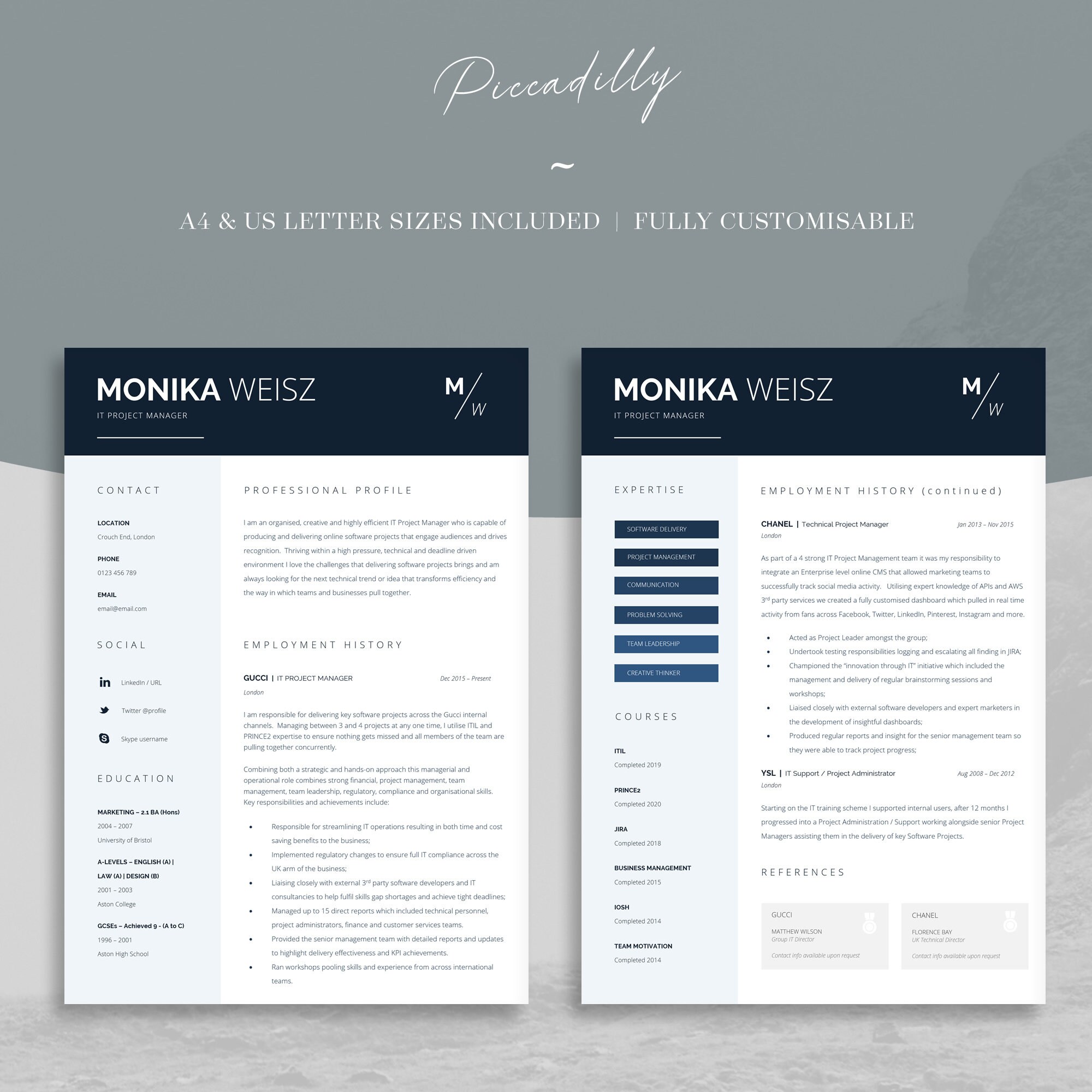 Blue Resume Template for IT Professionals | Technical CV Template ...