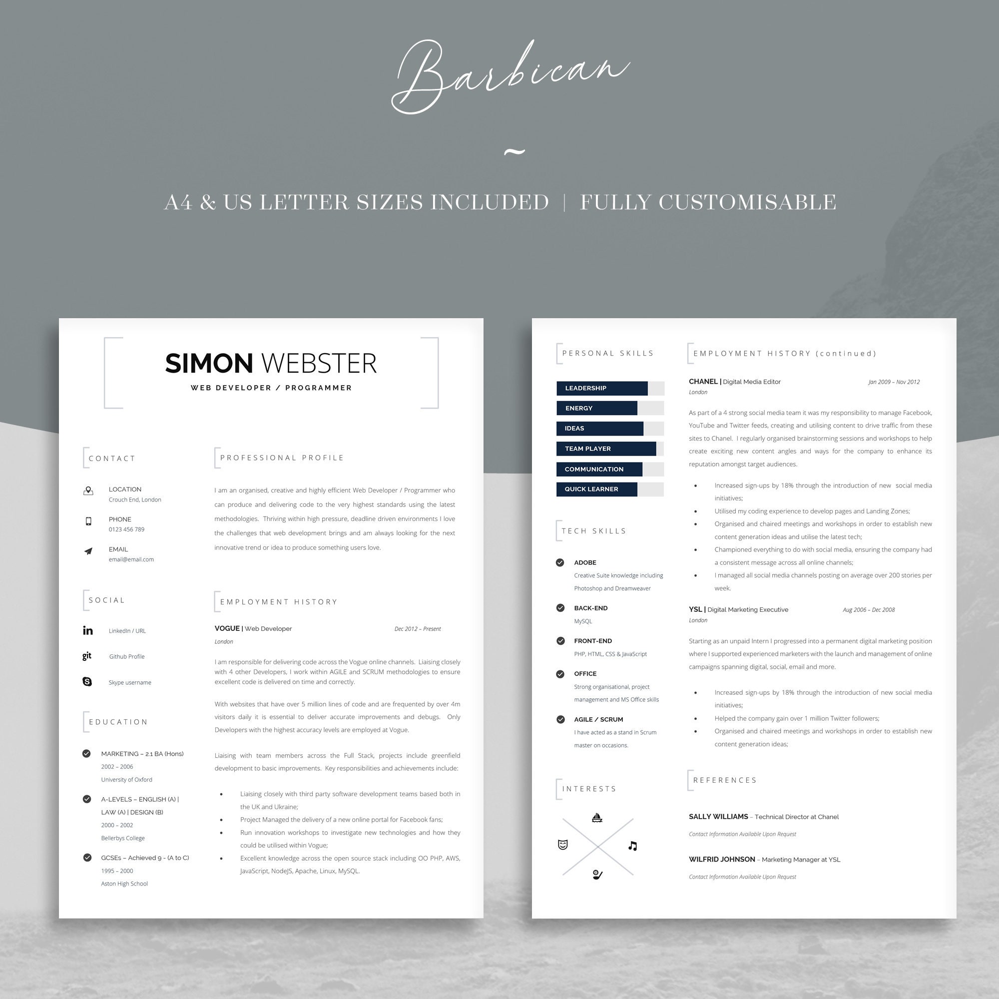 Chronological Resume | C Level Executive Resume Template | CV Template ...
